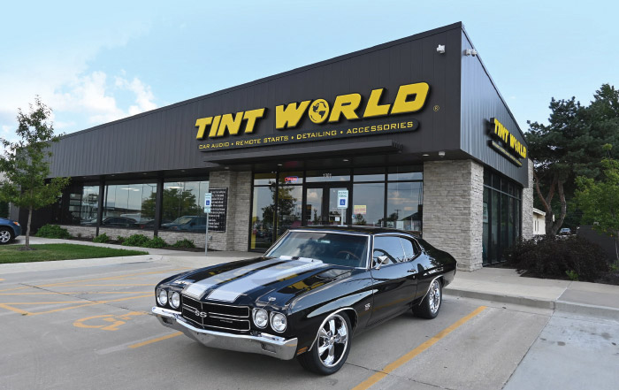 Tint World: Trending Upward | Franchise Dictionary Magazine