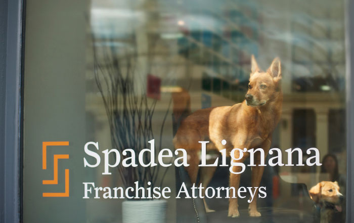 Spadea Lignana: Champions of Success for Franchise Founders | Franchise ...