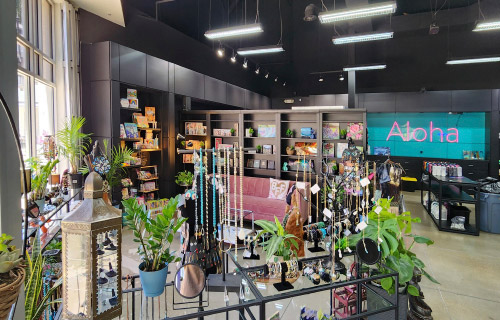 Hawaii Fluid Art: Painting a Rosy Picture for the Future | Franchise ...
