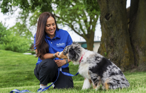 GAME CHANGERS: Pet Butler | Franchise Dictionary Magazine